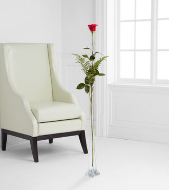 Ultimate Rose - Single Stem 4 Foot Rose - FedEx - Same Day Delivery ...