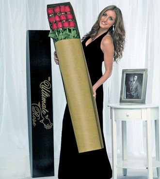 Ultimate Rose Bouquet - 12 Stems 4 Foot Roses - No Vase - FedEx ...