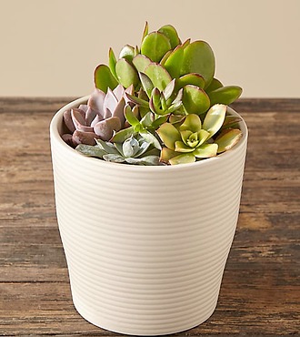 FedEx - Flowers Fast! Online Florist - Send Flowers Same Day Delivery