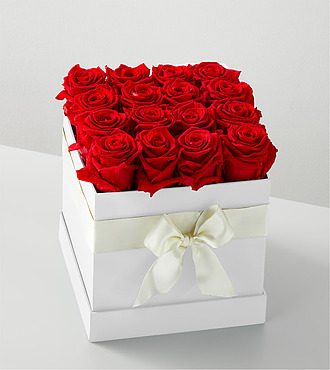 Red Forever Roses - 16 Preserved Roses - FedEx - Same Day Delivery ...